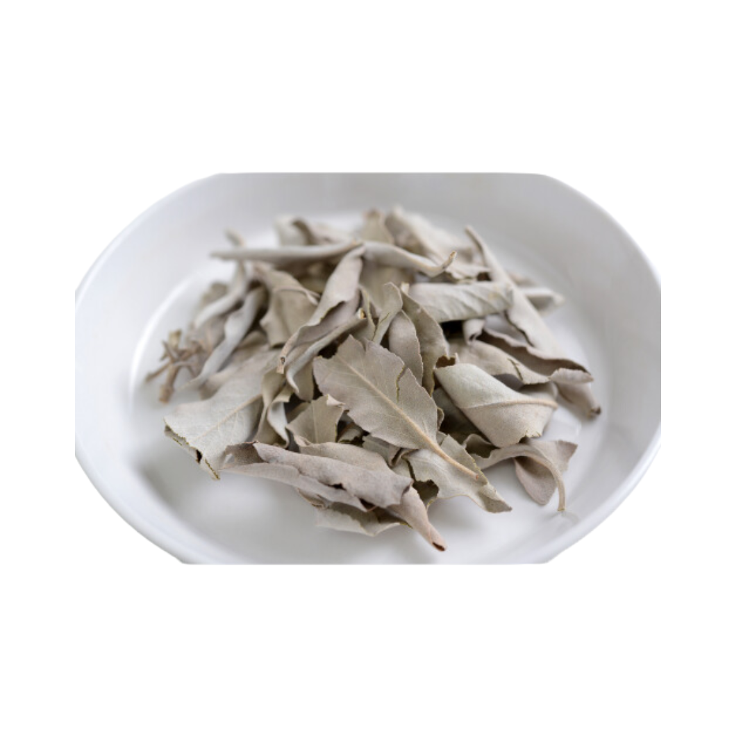 Feuilles de sauge séchées – Ferme-Nema