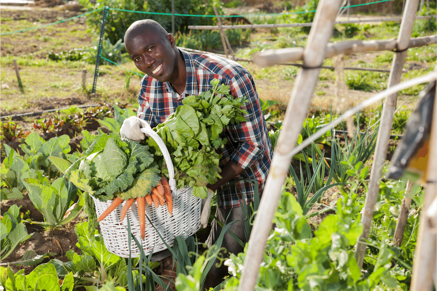 Accueil de Nêma : ferme biologique autonome et intégrée